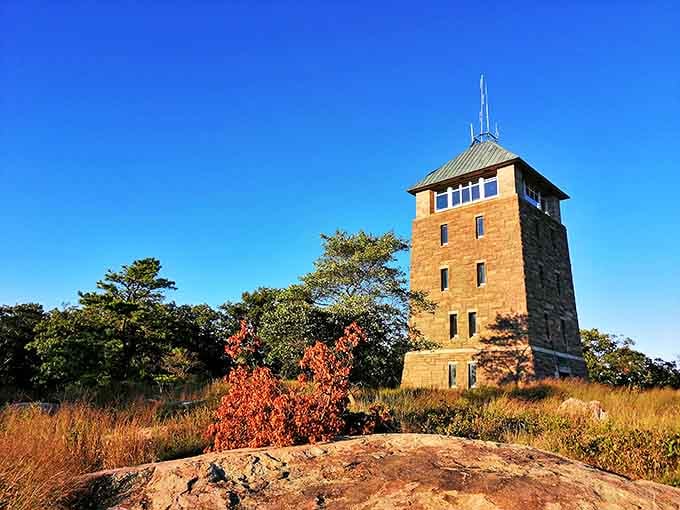 The stone fire tower stands like a medieval sentinel, offering panoramic views that make your smartphone camera feel woefully inadequate.