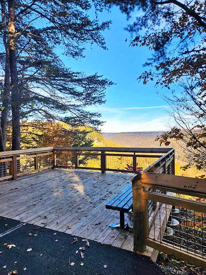 The observation deck offers front-row seats to nature's greatest show. Better than any theater, and the concessions are whatever you packed.