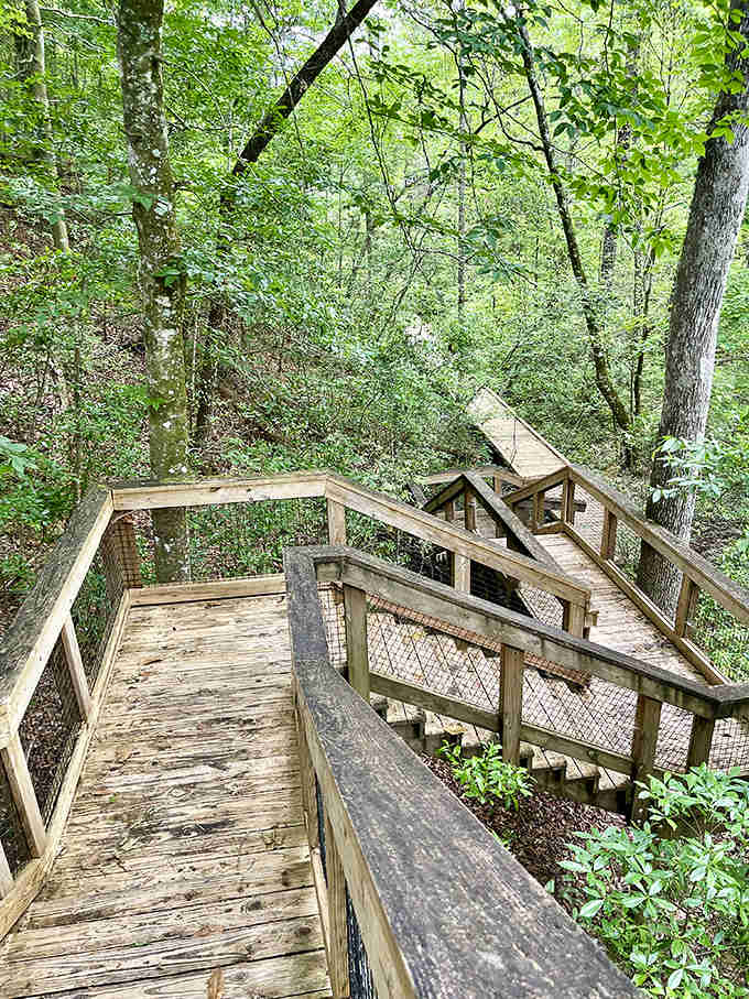 This wooden boardwalk zigzags through the forest like nature's version of a department store escalator, but with significantly better views.
