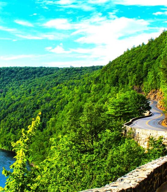 70 mile new york ftr