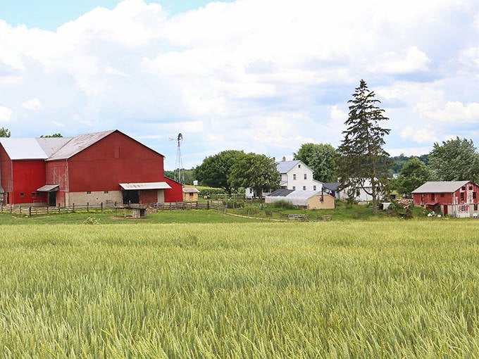 These pastoral scenes remind you that some of life's greatest treasures require no electricity or internet.