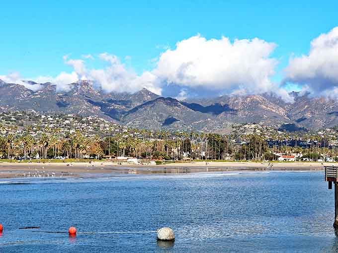 Where mountains meet ocean in spectacular fashion. Santa Barbara's coastline offers the kind of views that make you forget to check your phone.