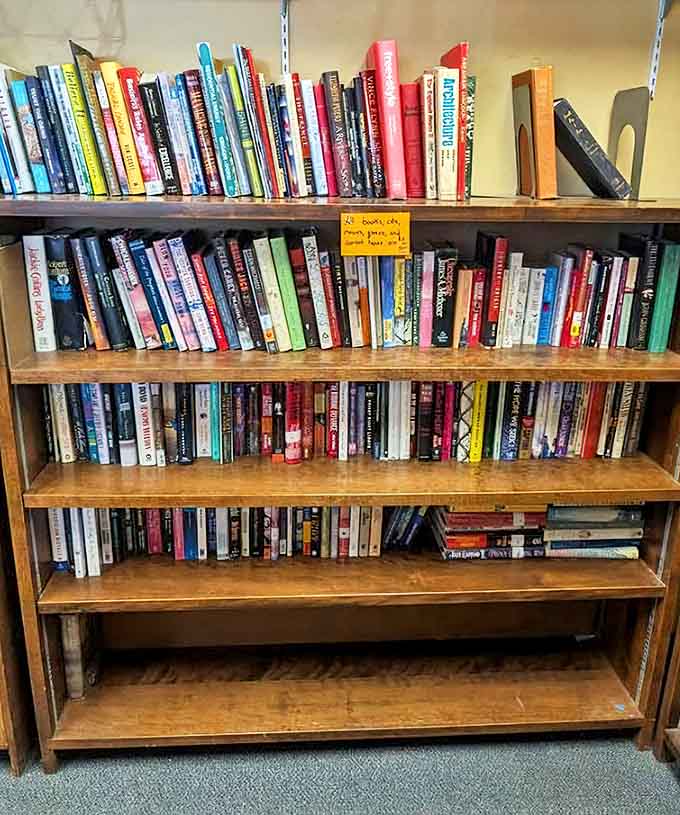 Bookworms rejoice! Fill your shelves and mind without emptying your wallet. From bestsellers to classics, literary treasures await at bargain prices.