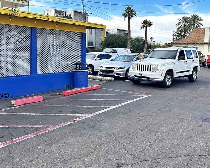 Even the parking lot has that no-frills charm that says, "We put our energy into the kitchen, not the curb appeal." Palm trees add that quintessential Phoenix touch.