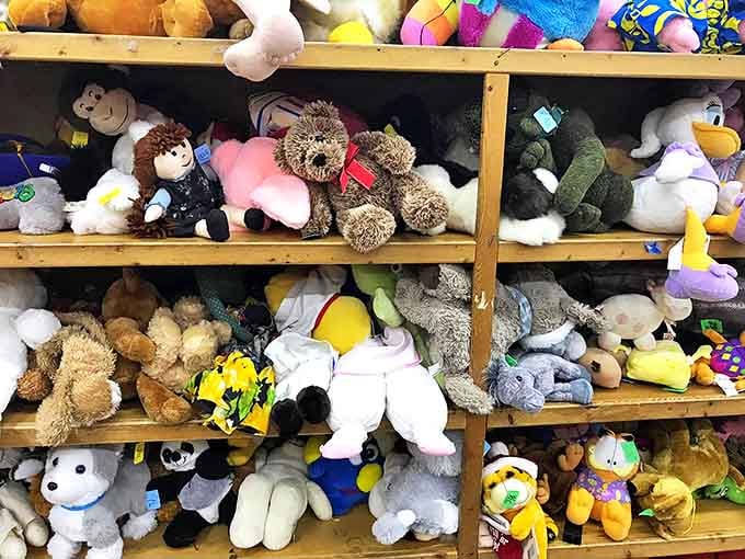 Stuffed animal sanctuary where pre-loved plush pals wait patiently for their next cuddle. That teddy bear is giving you eyes!