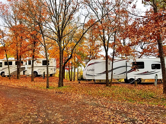 RV heaven in autumn glory. The leaf-strewn camping area transforms ordinary campers into lucky residents of nature's five-star seasonal resort.