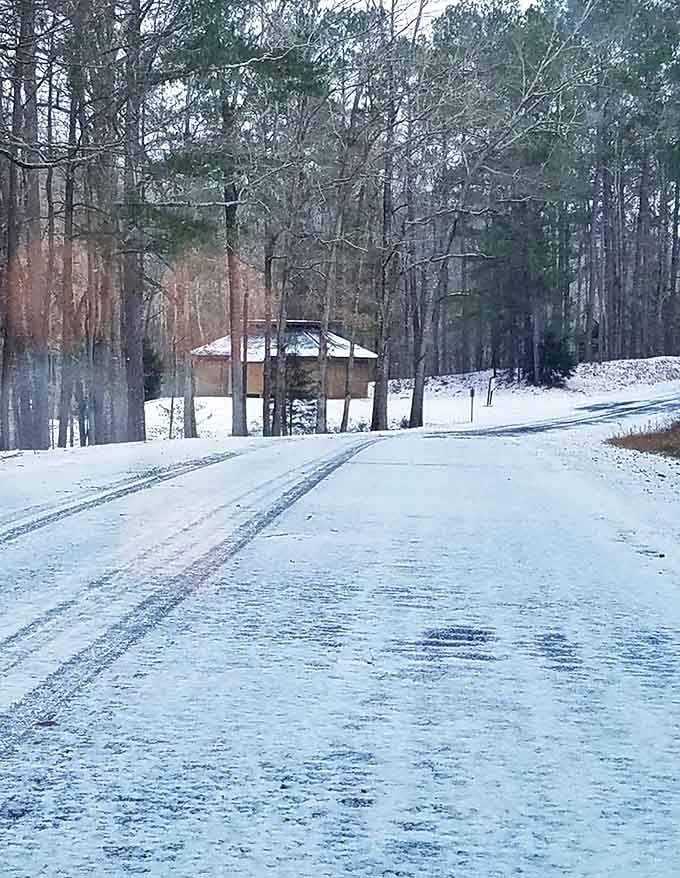 Winter transforms Lake Lurleen into a serene wonderland. Snow in Alabama &ndash; almost as rare as someone saying "no thanks" to sweet tea.
