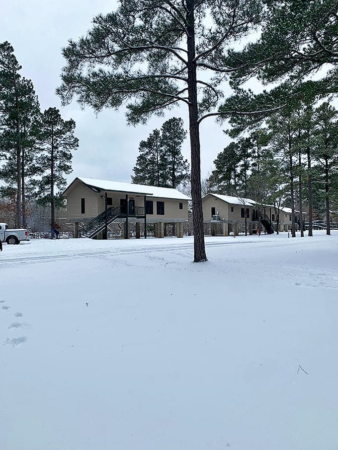 Winter transforms the park into a serene snow globe &ndash; proof that Mother Nature decorates for the holidays better than any department store.