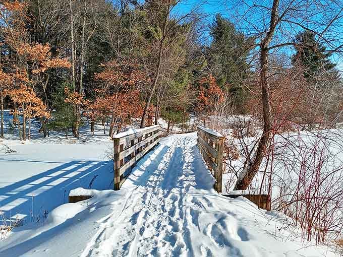 Winter transforms ordinary bridges into magical passages between snow-covered realms. Narnia, is that you?