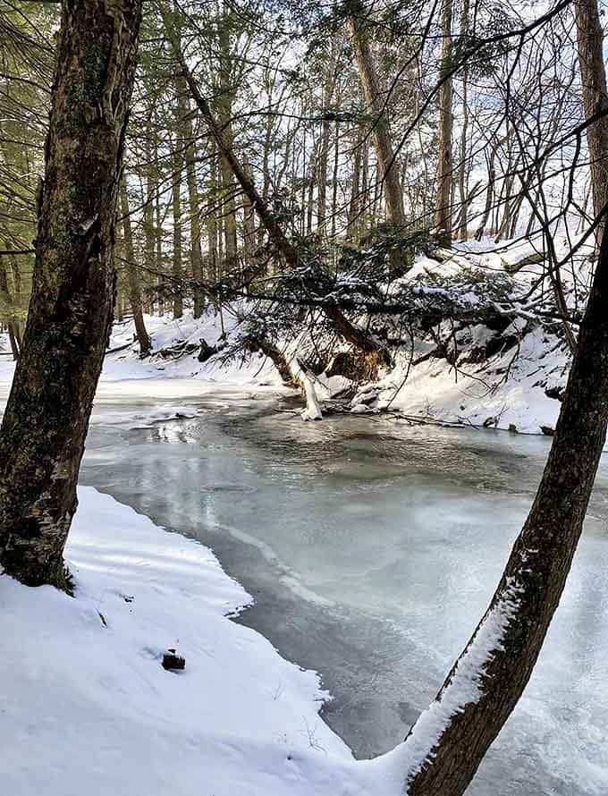 Winter transforms the park into a hushed wonderland, where frozen waters pause mid-journey, waiting for spring's gentle touch.
