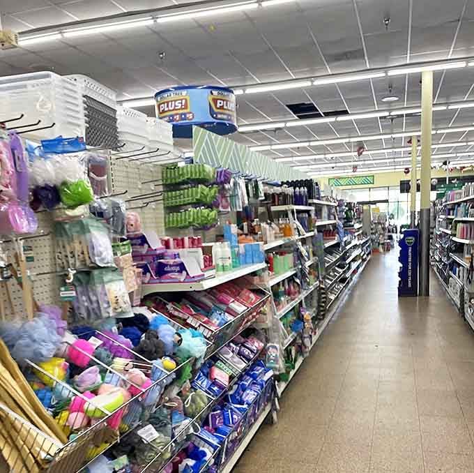 Personal care products that prove looking good doesn't require a second mortgage. Same ingredients, less packaging, more money for actual living.