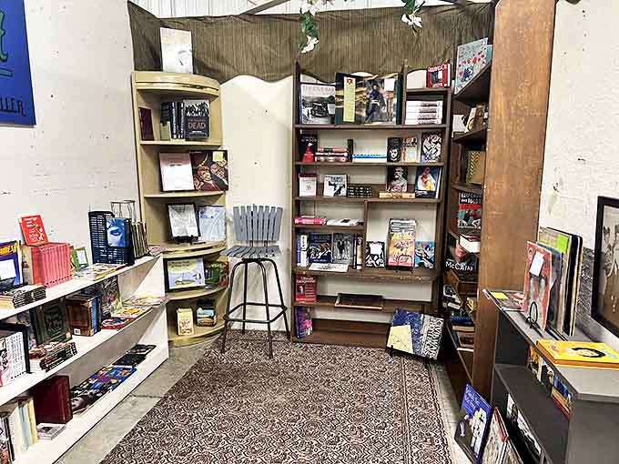 A literary nook where every shelf holds someone's favorite story. Books waiting for their next chapter with a new owner.