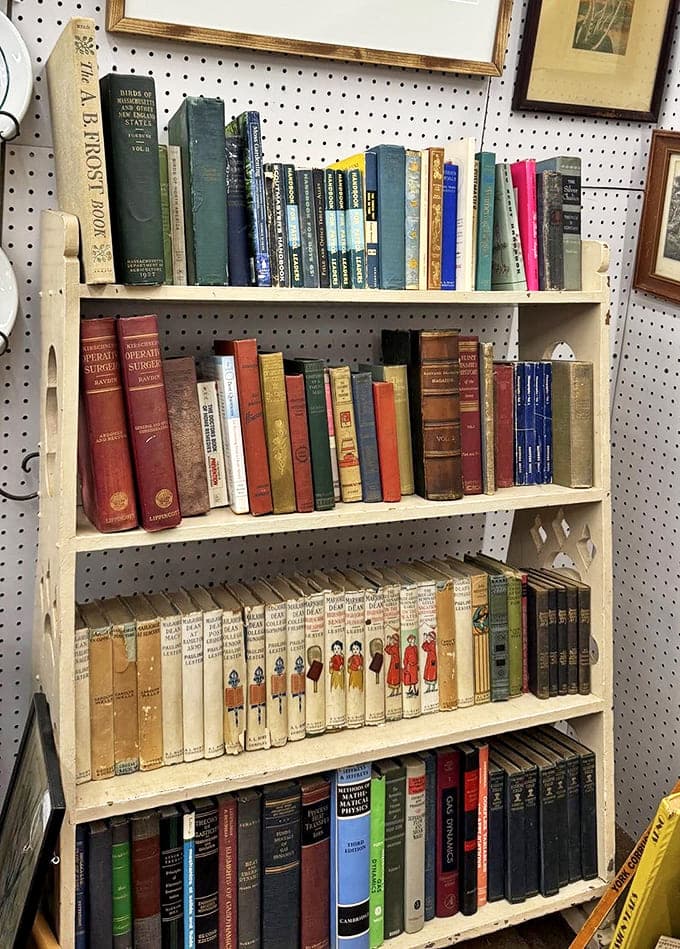 Each of these vintage books holds not just stories on their pages, but in their worn spines and previous owners' gentle handling.