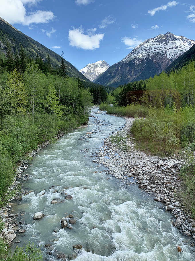 Nature's own refreshment system &ndash; this glacial creek carves through the valley like a liquid highway, delivering alpine snowmelt to the waiting sea.