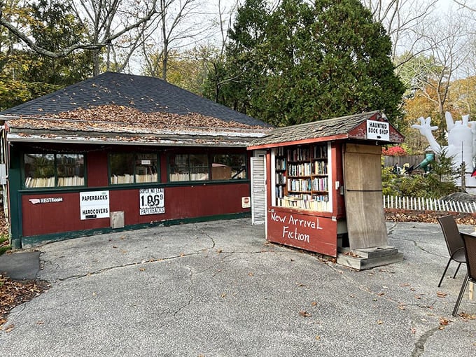The "Haunted Book Shop" and "New Arrival Fiction + Poetry" booth create a literary crossroads where Stephen King might meet Emily Dickinson.