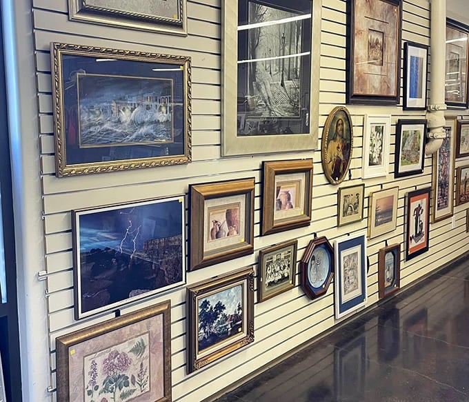 The wall where forgotten masterpieces find new admirers. From dramatic seascapes to charming botanicals, someone's discarded art becomes your statement piece.