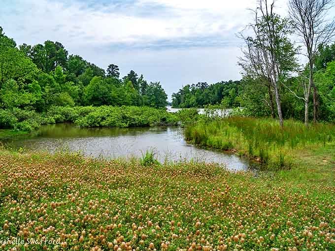 Where wildflowers and water meet in perfect harmony, creating the kind of scene that makes smartphone cameras feel wholly inadequate.