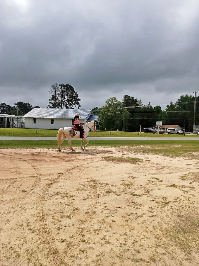 Rural South Carolina's version of rush hour&mdash;one horse, no traffic lights, and all the time in the world.