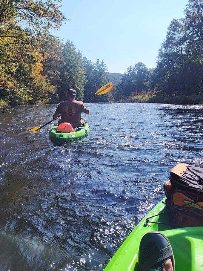 Adventure calls from the gentle current, where kayaking becomes less extreme sport and more floating meditation through Pennsylvania's hidden paradise.