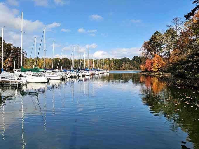 Sailboat symphony in autumn's finest theater. The marina transforms into a postcard-worthy scene when fall paints the surrounding forests.