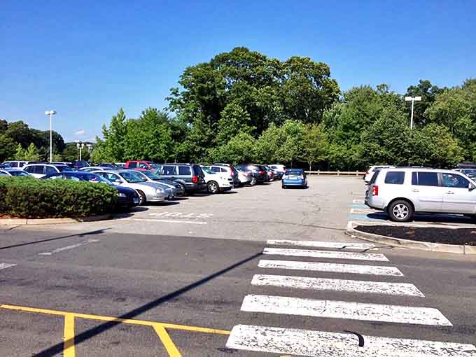 The parking lot&mdash;where shopping journeys begin and end, often with considerably less trunk space available for the return trip. Those trees provide shade for overheated credit cards.