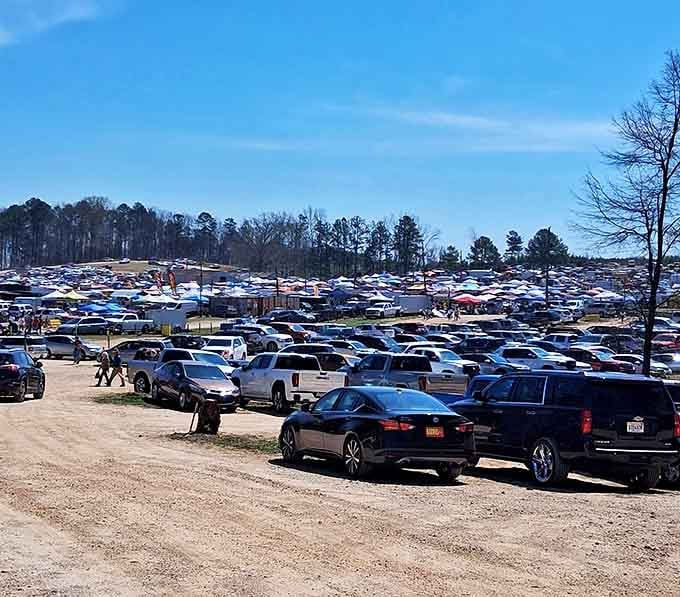 The parking area stretches to the horizon, a temporary community of vehicles whose owners are all united in pursuit of deals.