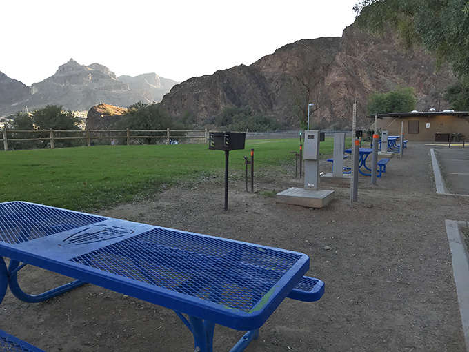 Picnic tables with million-dollar views come standard here. These shaded spots transform simple meals into memorable feasts.