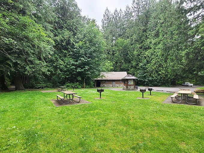 Picnic areas strategically placed for maximum "I can't believe this view is free" moments. Lunch with a side of mountain majesty.
