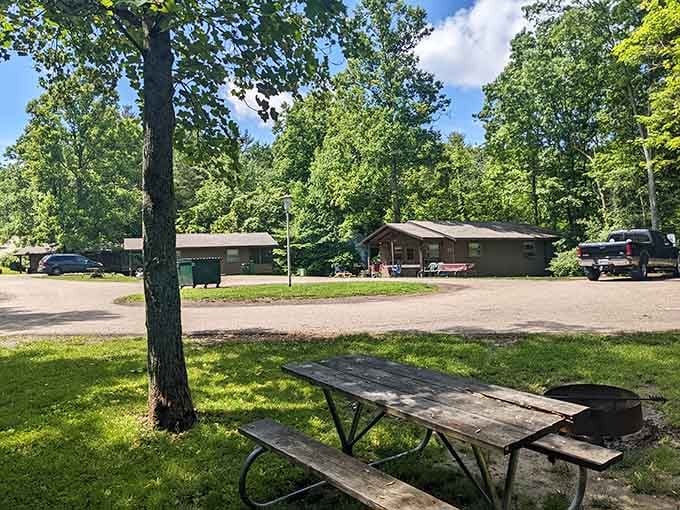 Rustic picnic tables wait patiently under shade trees, the original outdoor dining experience long before patio seating became trendy.