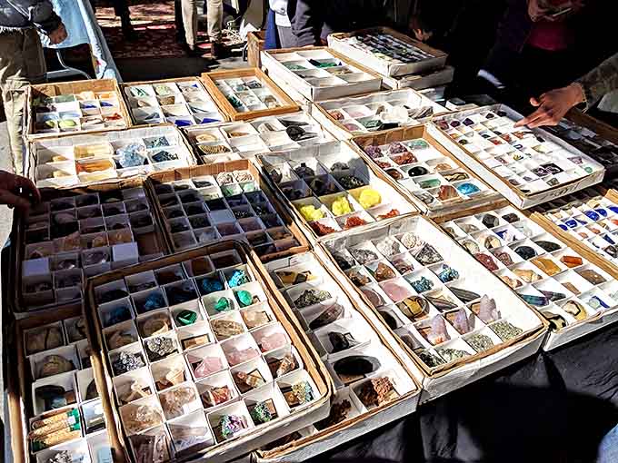 Nature's artwork arranged in perfect rows. These crystal and mineral displays transform geology into accessible pocket-sized magic.