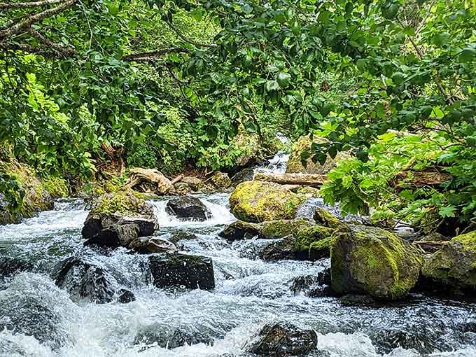 Water music that puts Handel to shame&mdash;this rushing stream composes symphonies that have been playing for thousands of years.