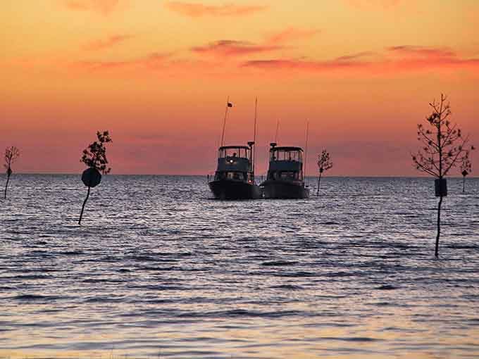 Sunset transforms the water into liquid gold. Even the boats seem to pause in reverence of nature's nightly masterpiece.