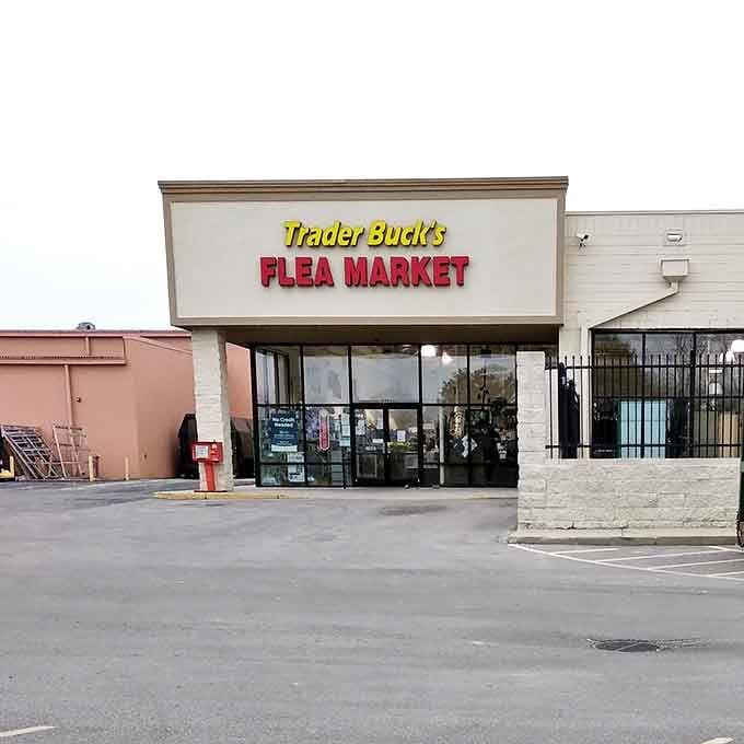 Trader Buck's bold signage promises adventure within. This unassuming storefront hides a universe of potential discoveries behind its glass doors.
