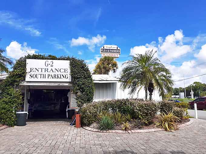 Outdoor vendor rows stretch toward the horizon, creating a treasure hunter's version of Main Street.