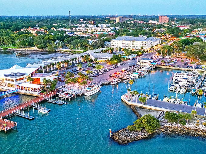 A bird's-eye view of Dunedin's marina shows why boaters flock here – crystal blue waters, perfect docking, and restaurants just steps away.