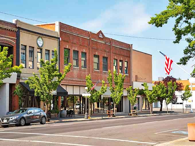 Tree-lined streets create natural tunnels of green in Medford, where nature and small-town living blend seamlessly.