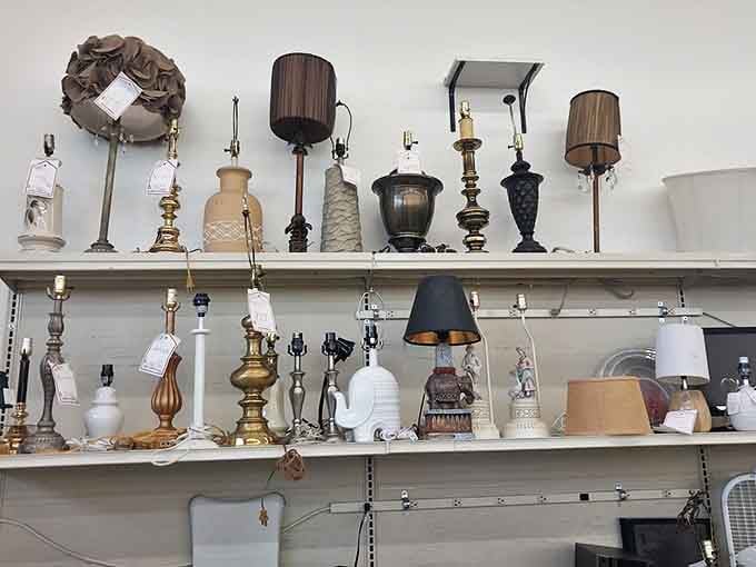 A forest of lamps stands ready for adoption, each one hoping to illuminate someone's reading nook or cast a warm glow on family dinners.