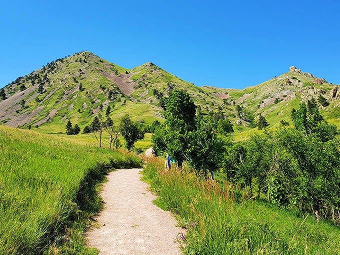 Bear Butte's trail invites you into a landscape painting come to life—where every step forward feels like stepping back in time.
