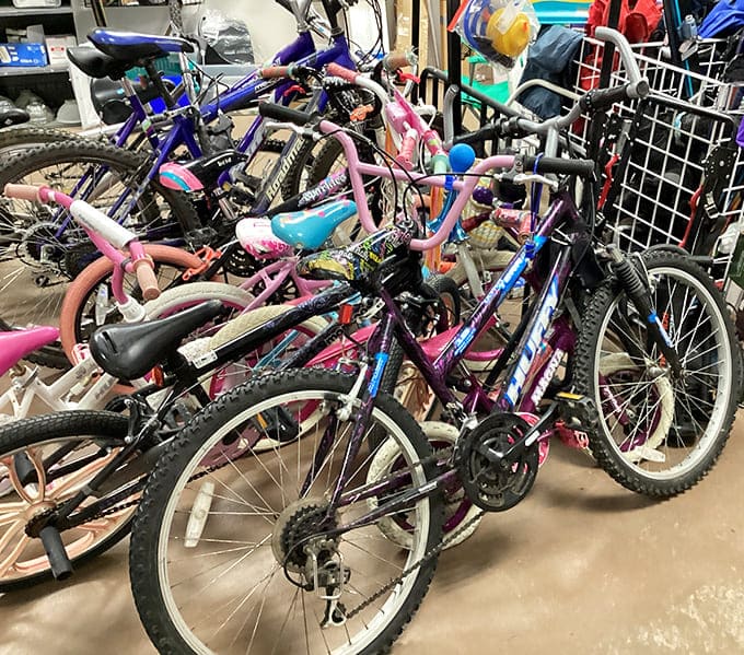 Bicycle bonanza where two-wheeled freedom awaits. Wyoming's wide-open spaces are calling, and these pre-loved rides are ready to answer.