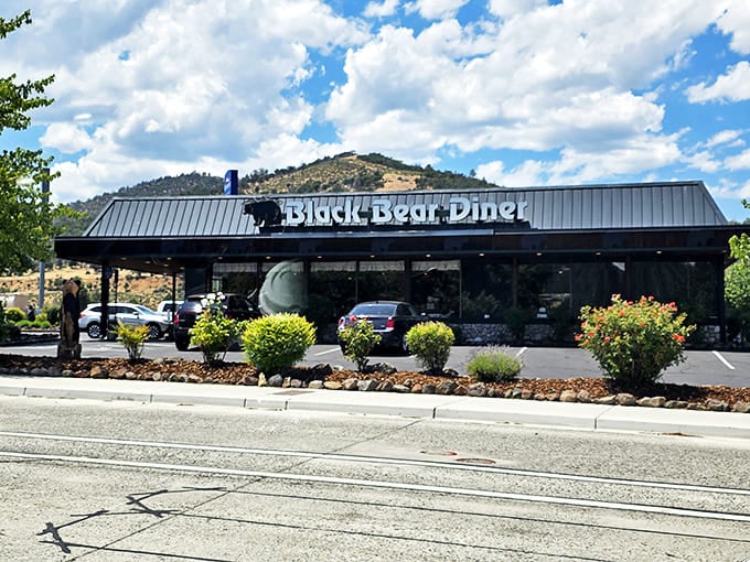 The Black Bear Diner promises comfort food with a view &ndash; because pancakes always taste better with mountains on the horizon.