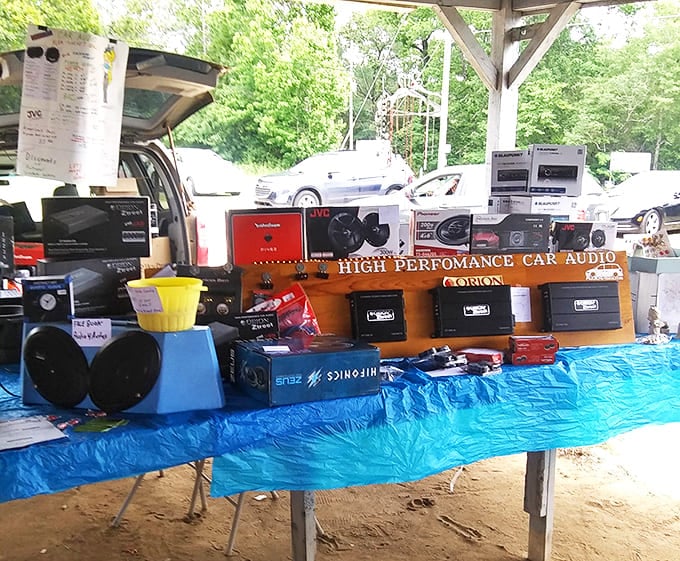 Car audio heaven for those who believe vehicles should be heard before they're seen. Bass-boosters that promise to rattle your neighbor's windows from three blocks away.