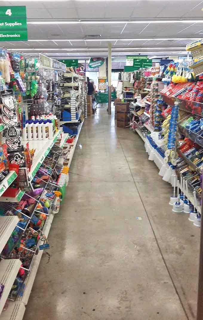 Aisle after aisle of possibilities. The treasure hunt begins here, where every corner turned reveals another bargain waiting to be discovered.