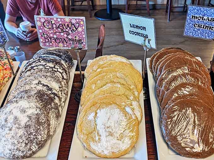 Cookie lineup that would make your grandmother both proud and jealous. Chewy brownies, lemon cookies, and molasses gems waiting patiently for their moment of glory.