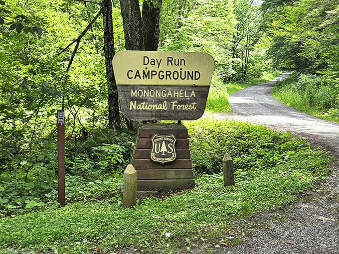 Day Run Campground welcomes visitors with the promise of starry nights that make your 4K television seem woefully inadequate.