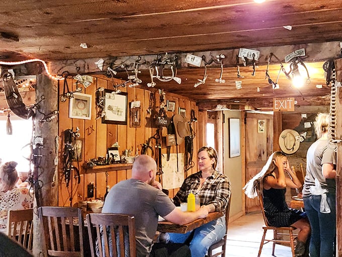 The dining room buzzes with conversation, strangers becoming friends over shared amazement at the portions and genuine Western hospitality.