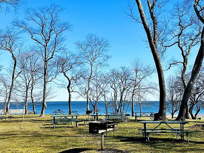 Greenwich Point Park offers picnic tables with million-dollar views &ndash; the kind of waterfront real estate that makes sandwiches taste inexplicably better.