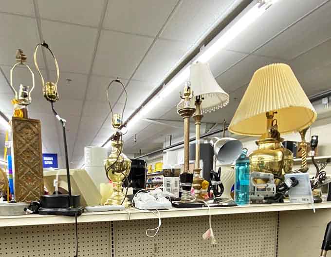 Illumination inspiration in every style. These lamps have lit up countless late-night conversations and are ready to brighten your corner of the world.