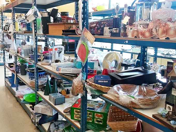 Treasure hunter's paradise! From wicker baskets to mysterious kitchen gadgets, these shelves hold the missing pieces to homes you haven't even decorated yet.