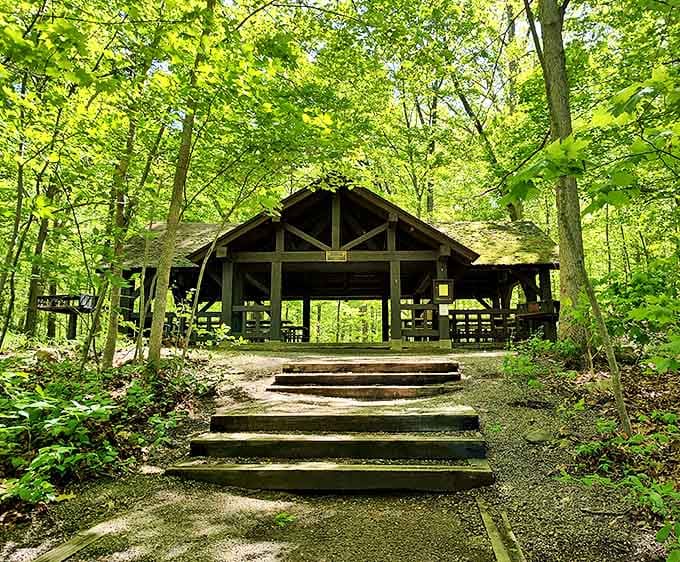 The park's pavilion offers a perfect shelter for everything from family reunions to those moments when New Jersey weather decides to showcase all four seasons in one afternoon.