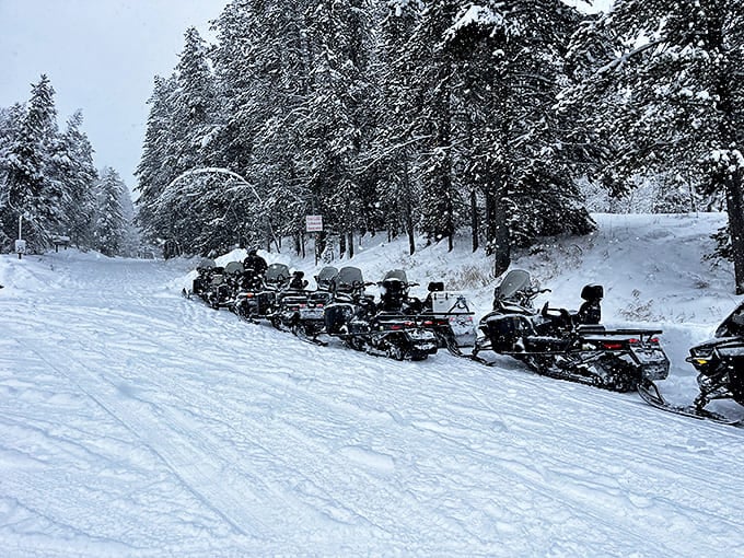 Winter in Driggs means lining up snowmobiles like urban commuters line up for coffee&mdash;except everyone here is actually smiling.